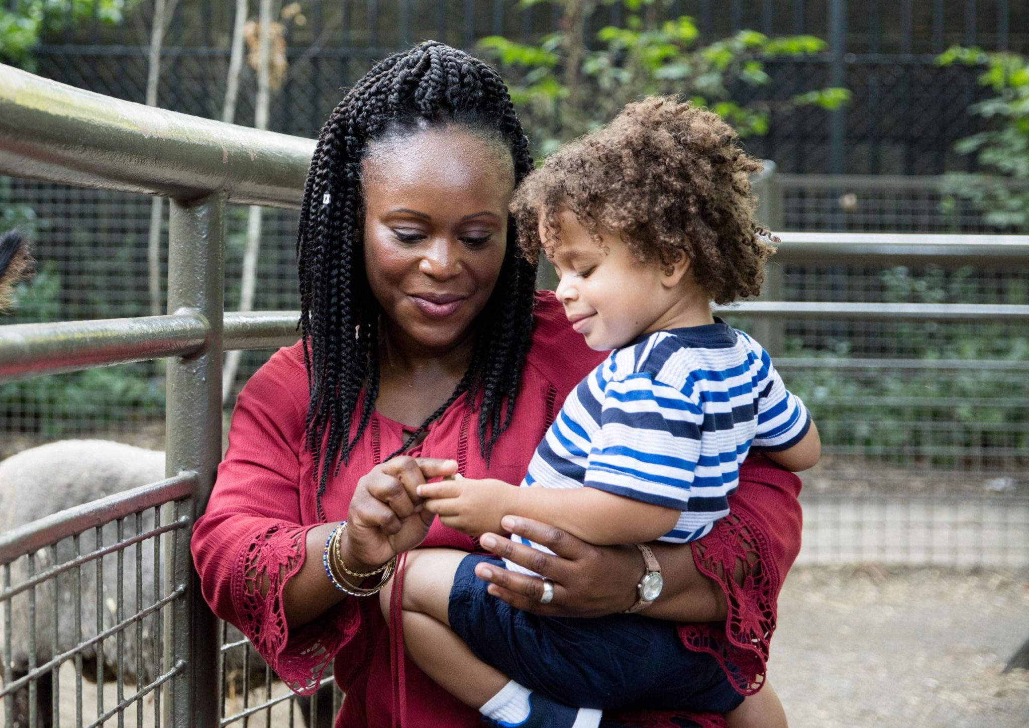 The Early Childhood Family Toolkit – Growing Up NYC